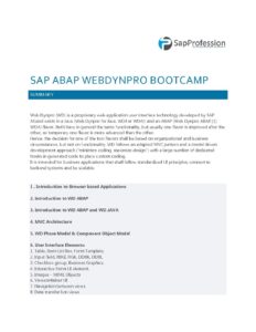 SAP ABAP WEBDYNPRO BOOTCAMP | SapProfession