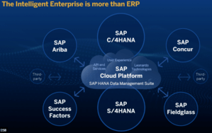 sap-cloud | SapProfession