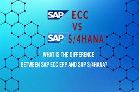 Differenze Chiave fra SAP ECC e SAP S/4 HANA | SapProfession